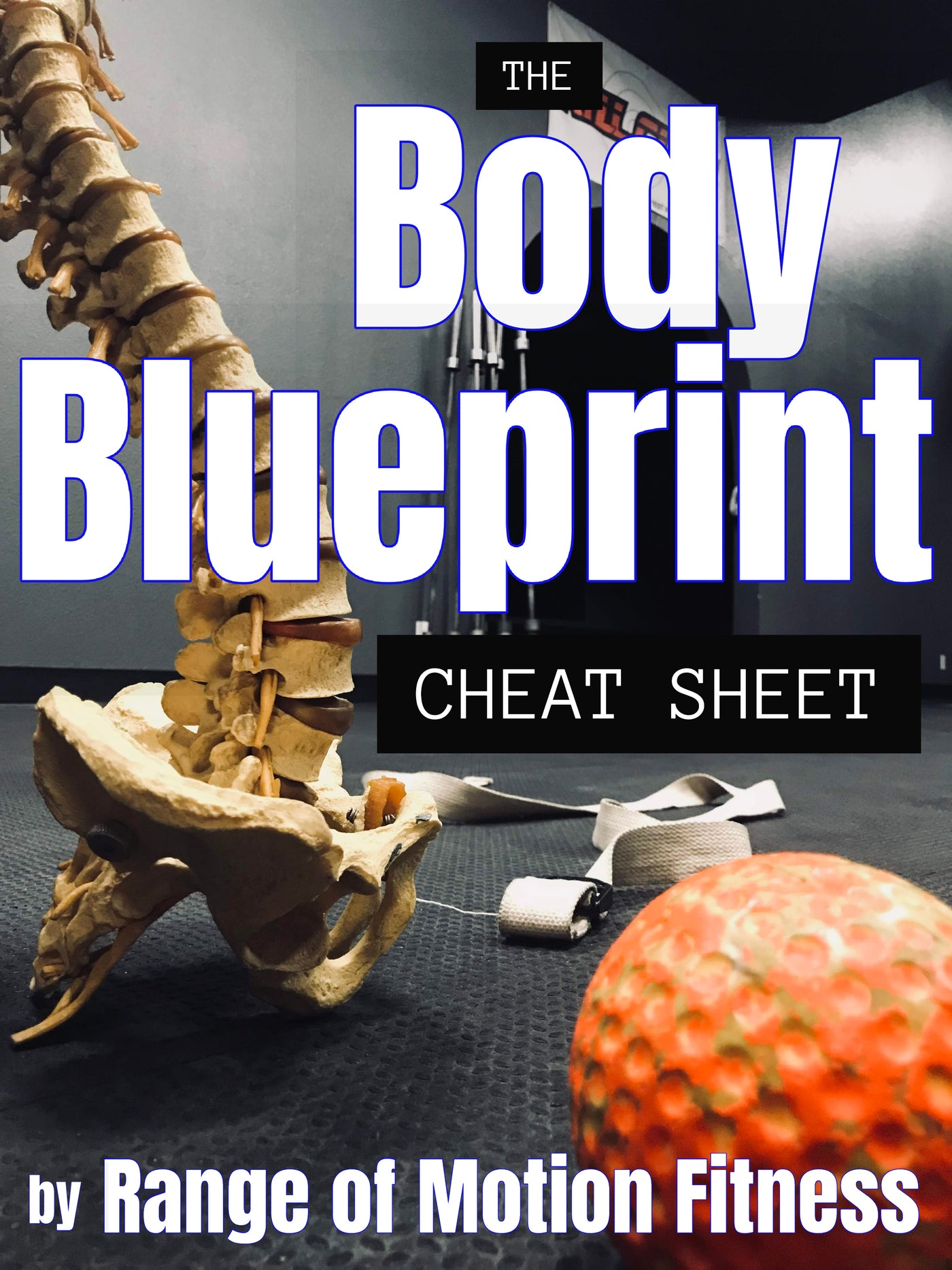 Body Blueprint Cheat Sheet featuring the "Posture Plan" – ROMFITNESS